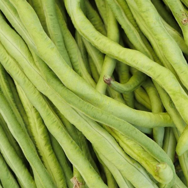 Fasole Yard Long Asparagus Metro